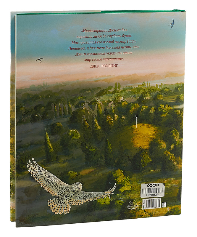 Гарри Поттер и Тайная комната. Иллюстрированное издание, Джоан Кэтлин ...