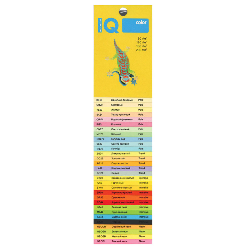  Mondi IQ Color 4 80 2 4 X 50 