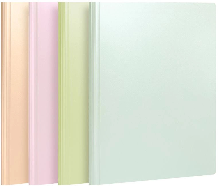 Папка с 40 вкладышами DELI, A4, полипропилен, ассорти. Цена за 1 шт. - купить канцтовары по ...