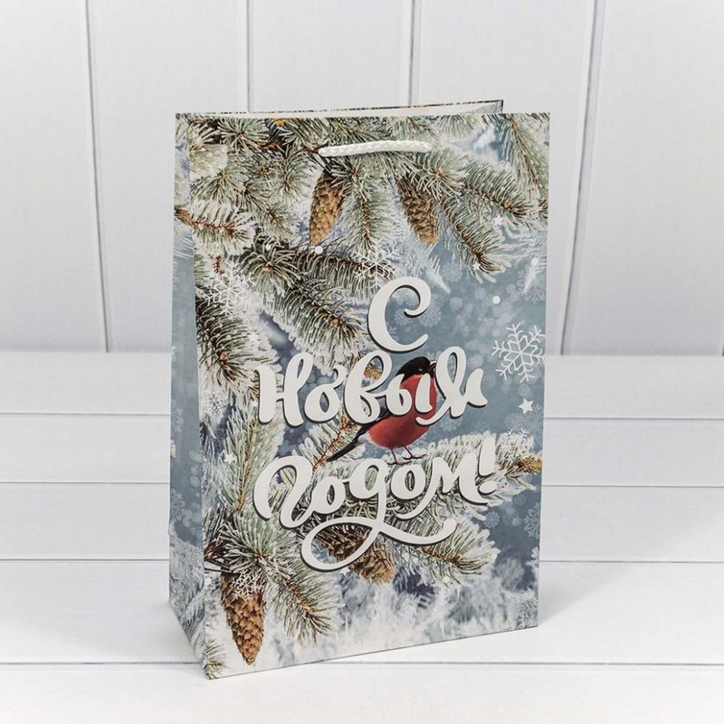 Пакет подарочный с блёстками С Новым Годом!, 20x30x10 см, артикул ...